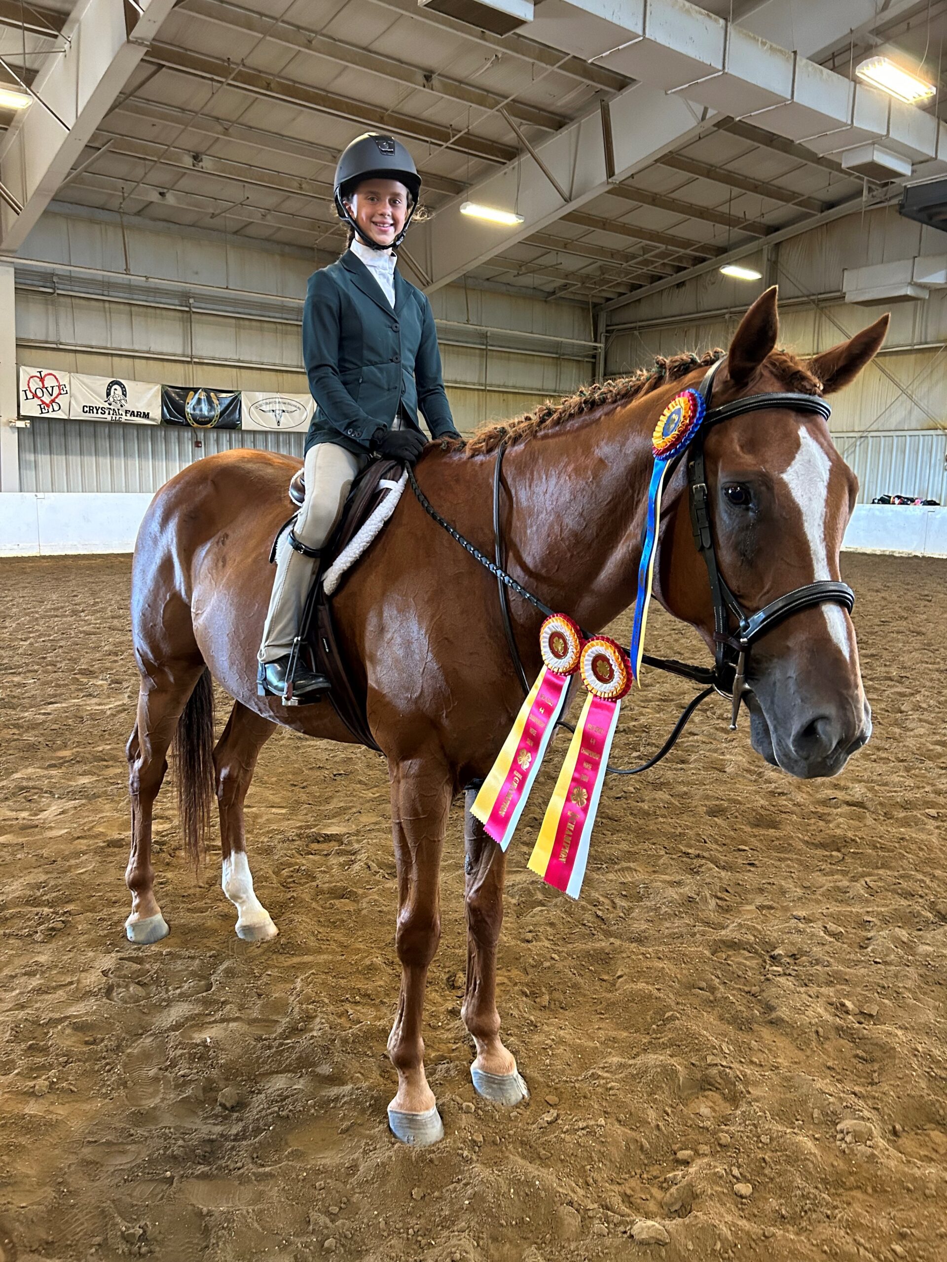Cape May County 4-H’ers Take Home Ribbons at State 4-H Championship ...